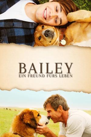 Bailey - Ein Freund fürs Leben