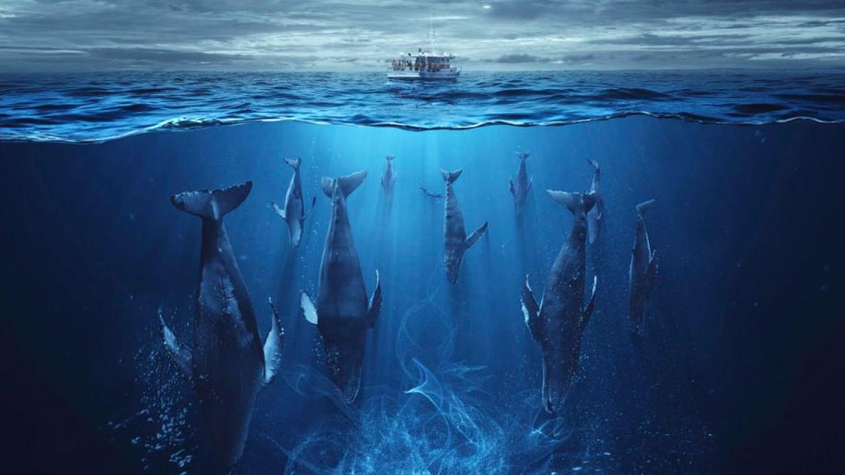 "Der Schwarm": Das Ende der TV-Serie erklärt