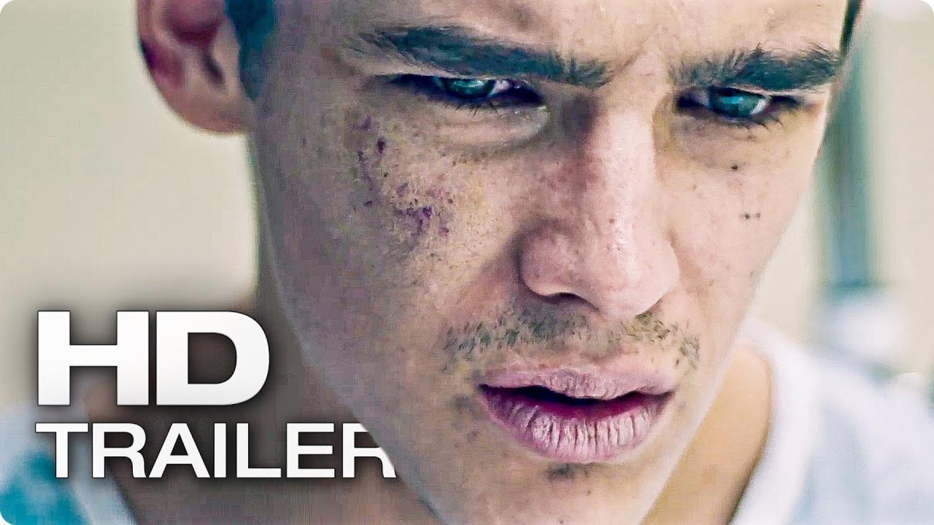 The Signal | film.at