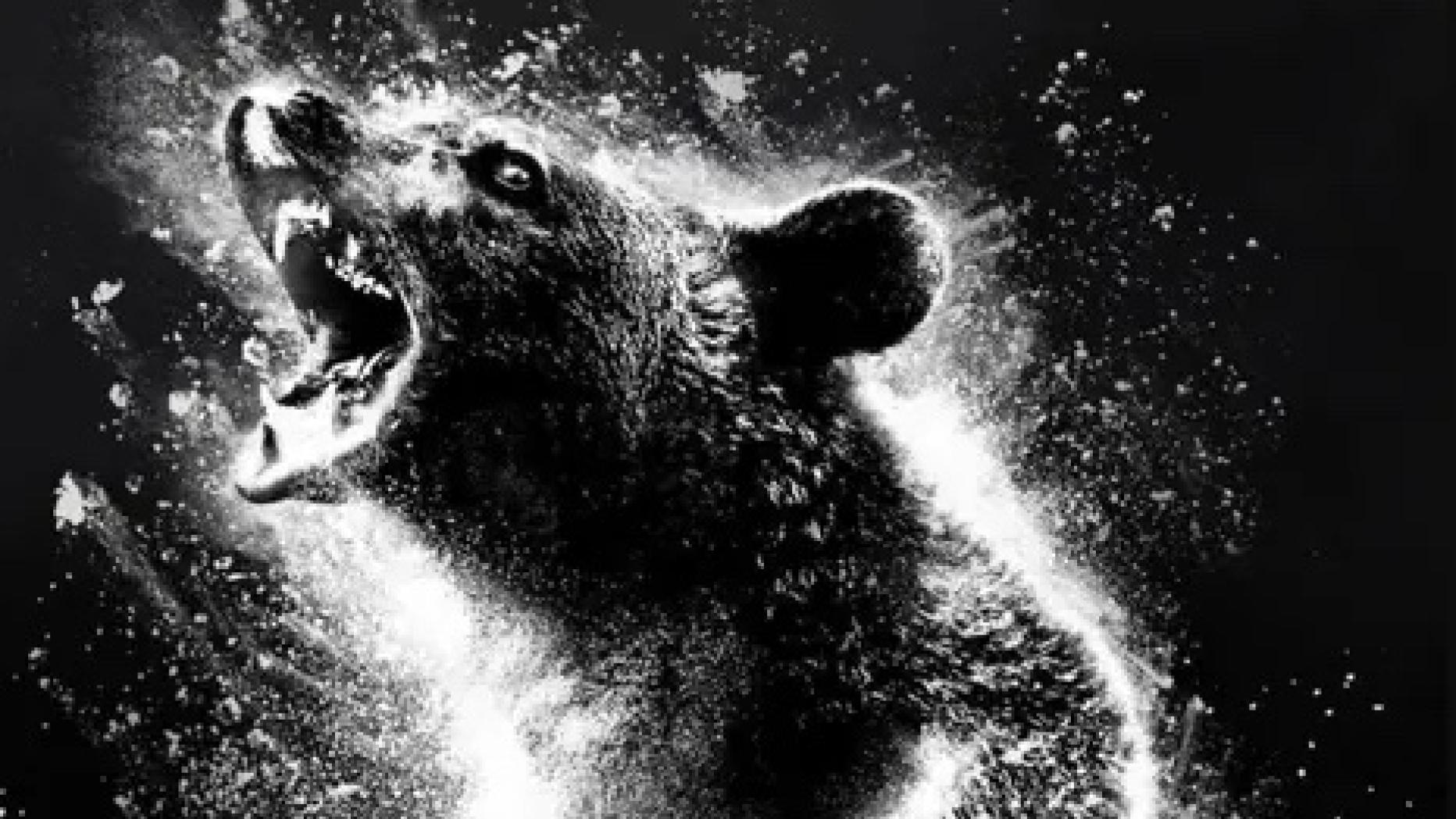 "Cocaine Bear"-Trailer: Bekiffter Bär in verrücktem Thriller