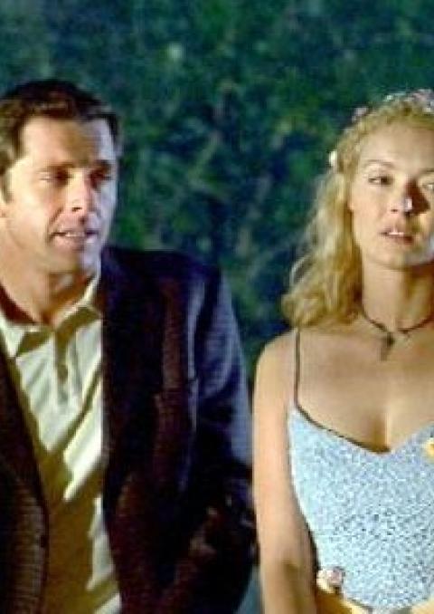 Dazzle - Verliebt in eine Elfe | film.at