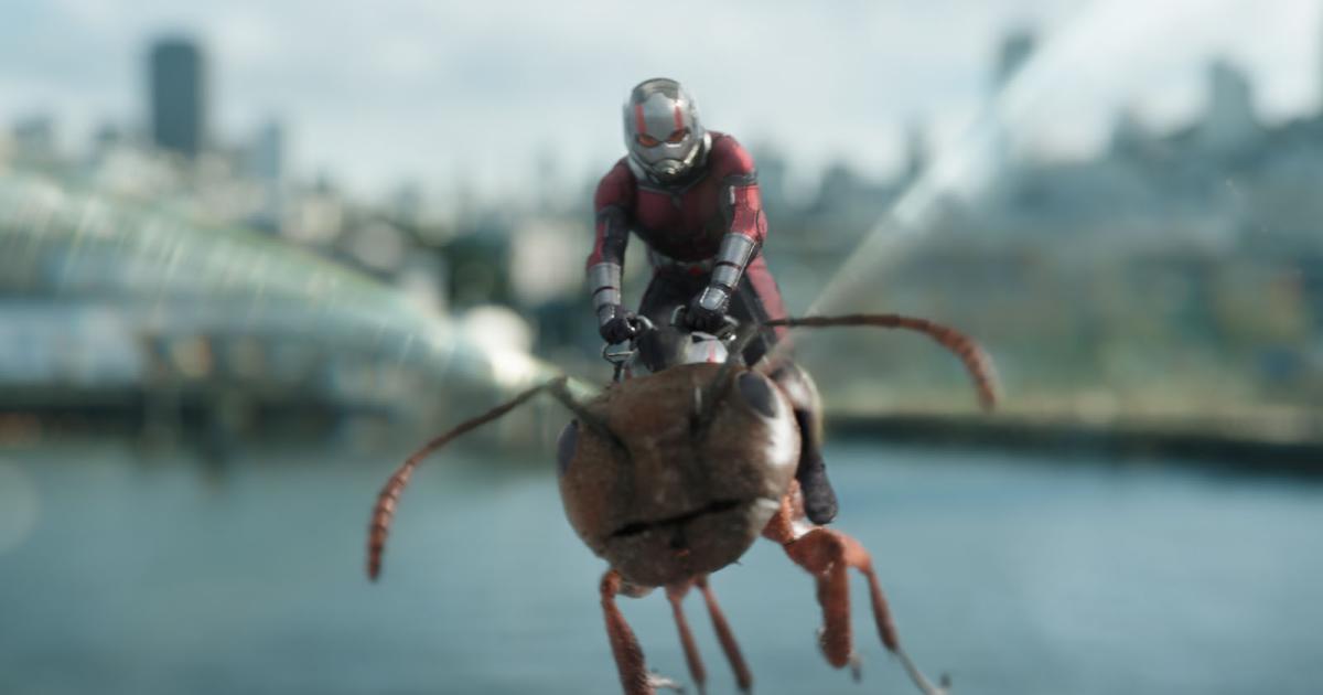 "Ant-Man and the Wasp" auf ORF: Eine Ameise als Godzilla