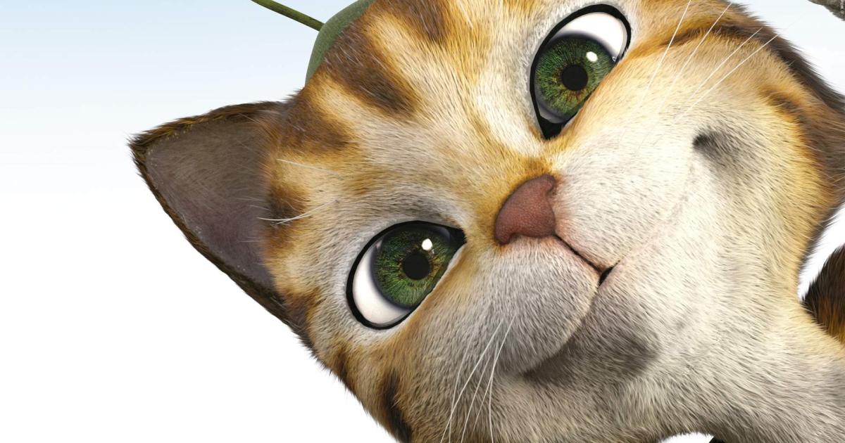 "Pettersson und Findus: Findus zieht um": Kleiner Kater ganz groß