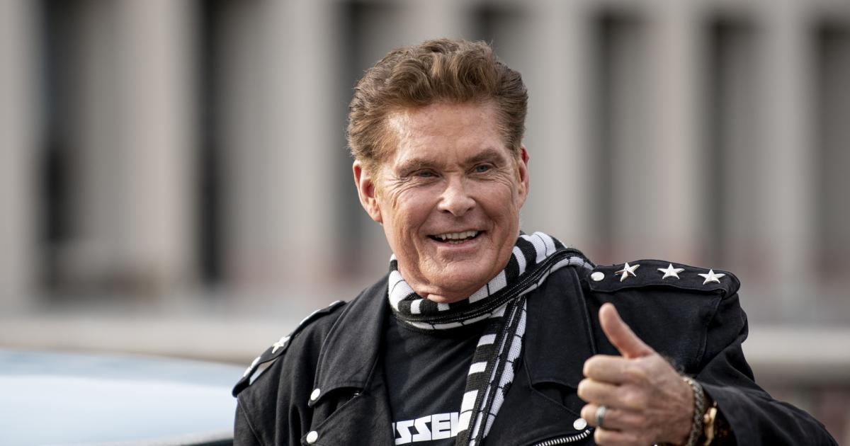 David Hasselhoff über Sprachbarrieren am Set von "Ze Network"
