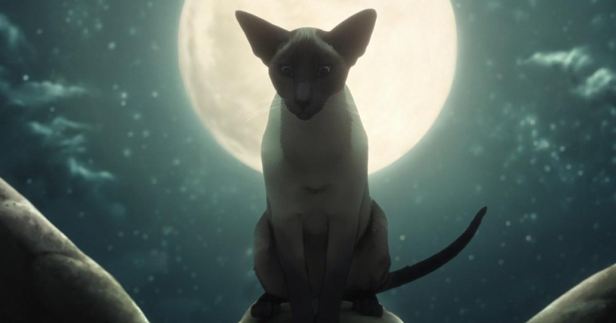 "The Sandman"-Bonusfolge auf Netflix veröffentlicht