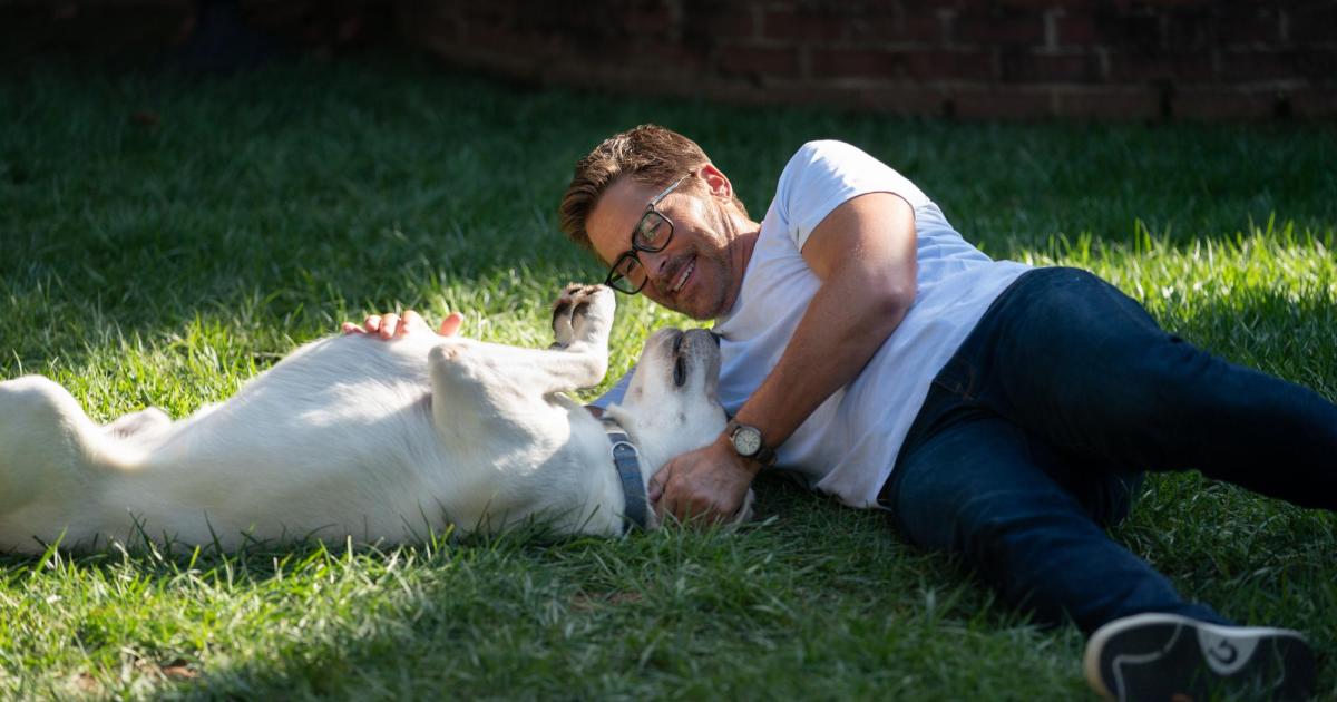 "Dog Gone": Netflix-Trailer über die Suche nach vermisstem Hund