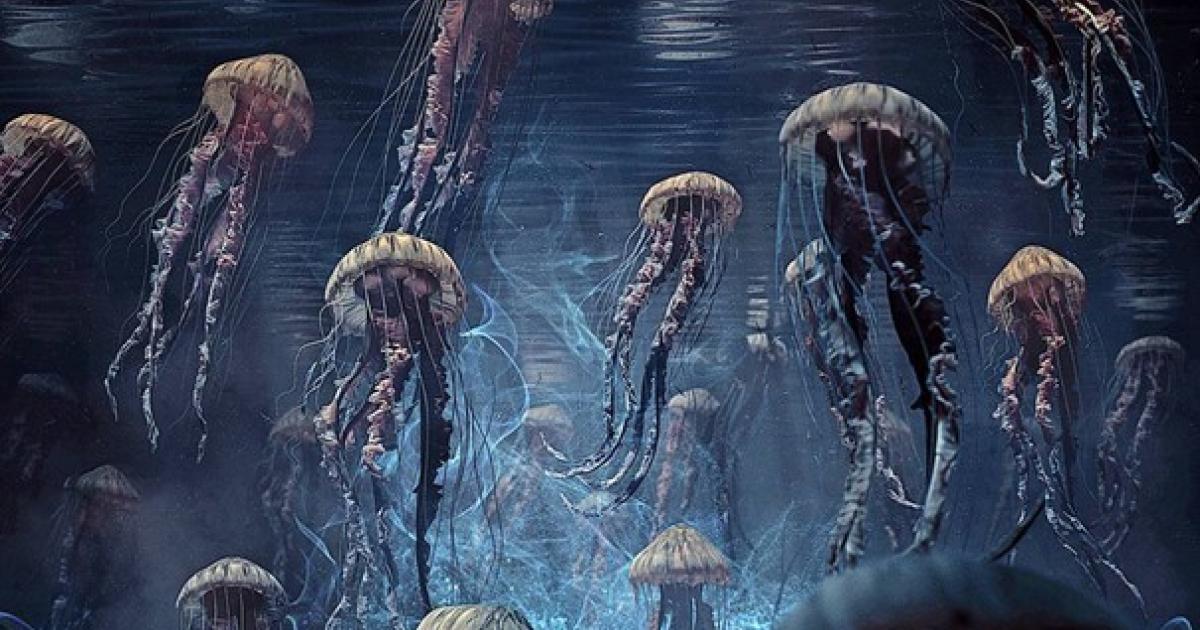 "Der Schwarm": Kommt Staffel 2 der ZDF/ORF-Serie?