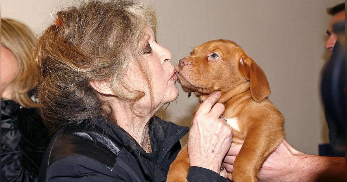 Brigitte Bardot ist 90: Schauspielikone und Tierfreundin