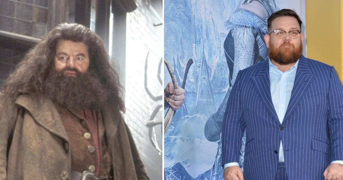 "Harry Potter"-Serie: Nick Frost tritt wohl Hagrid-Nachfolge an