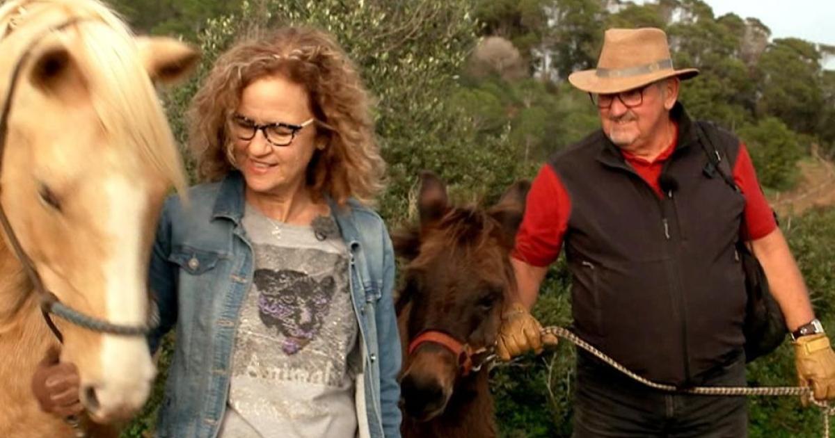 Bauer sucht Frau International 2025: So war Folge 8 - Das Finale