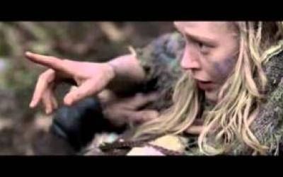 Das Blut der Wikinger