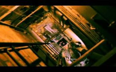 Animus - The New Maneater